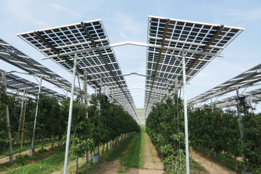 Agri-PV-Anlagen ☀️ AgriPV ☑️ Eine riesige Chance mit Agriphotovoltaik ...